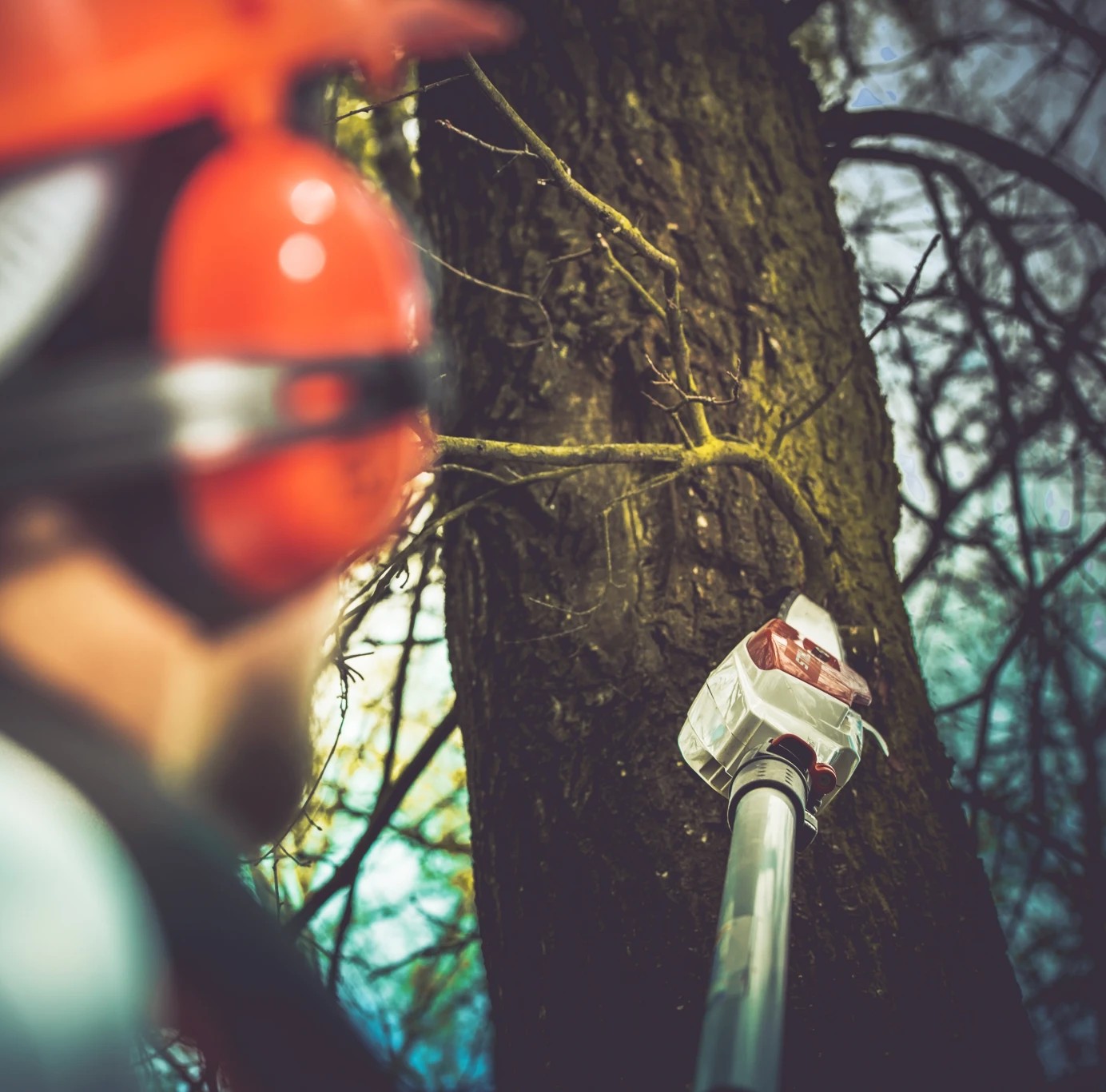 Tree Care Software — Smart Scheduling & Job Management